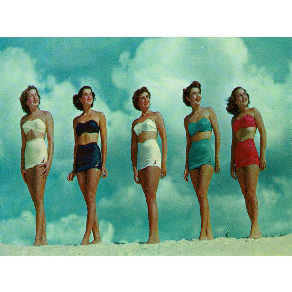 Bathing Beauties Wayfair
